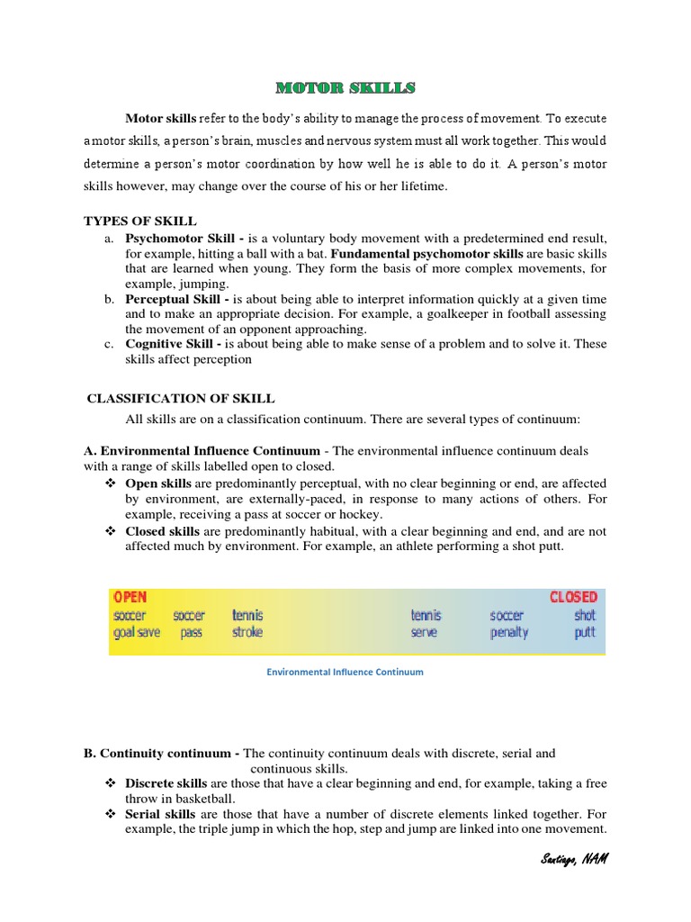 Motor Skills - Handouts and Final Activity | PDF | Learning | Perception