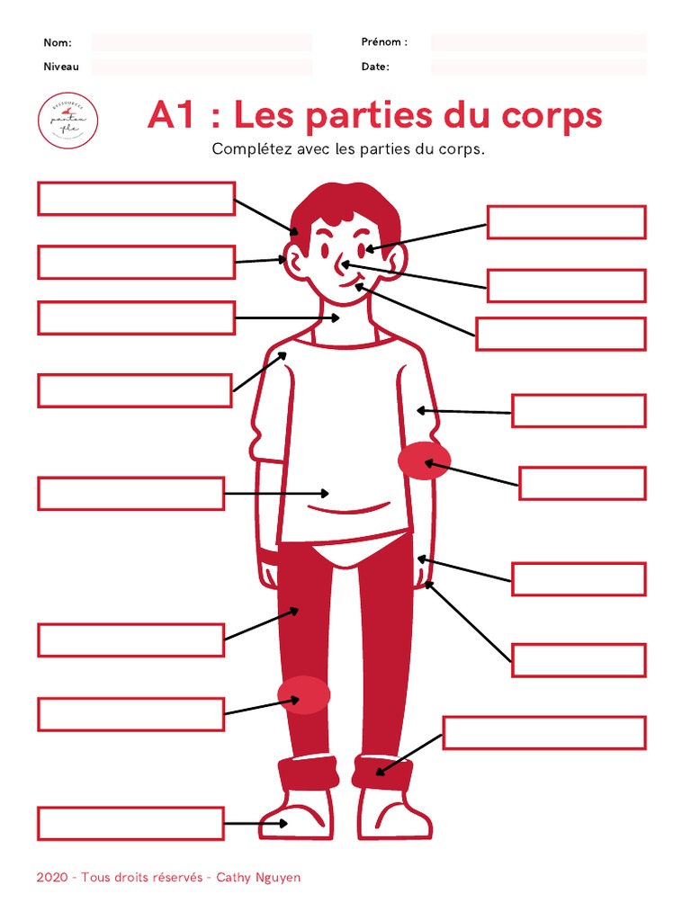 A1 - Les Parties Du Corps | PDF