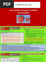 Sporulation et structure des spores bactériennes | PDF | Spore | Biologie