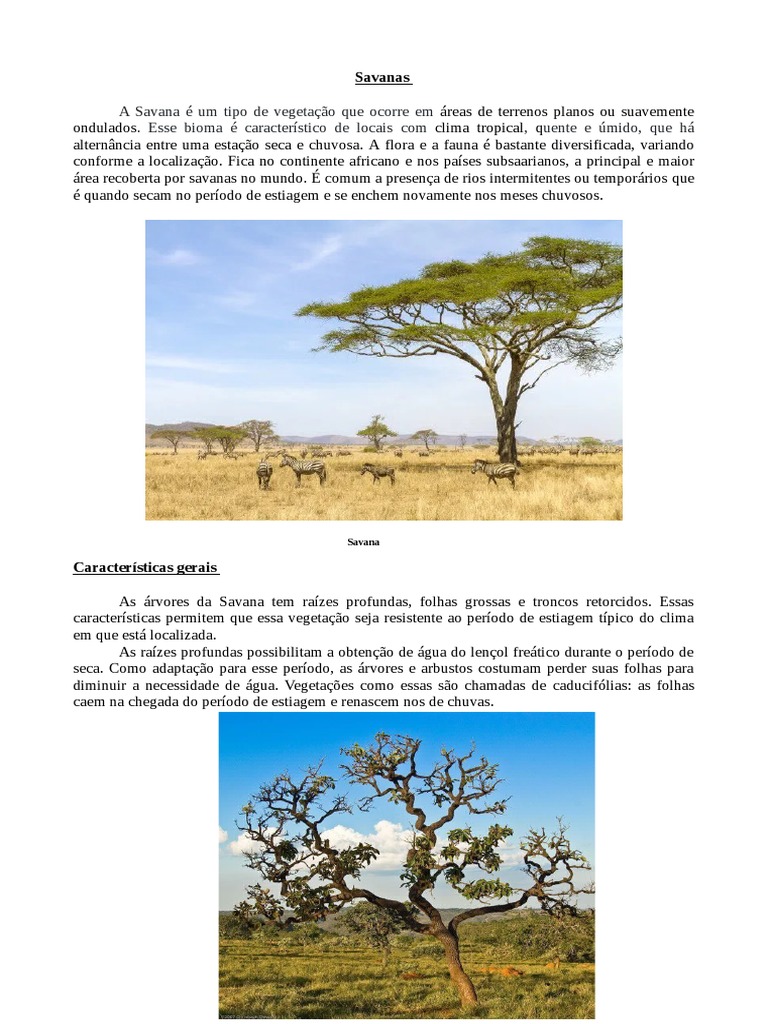 Características da Savana e Tipos | PDF | Savana | Temporada de chuvas