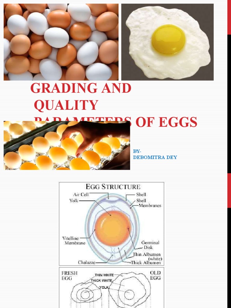 Grading and Quality Parameters of Eggs: BY-Debomitra Dey | PDF | Egg ...