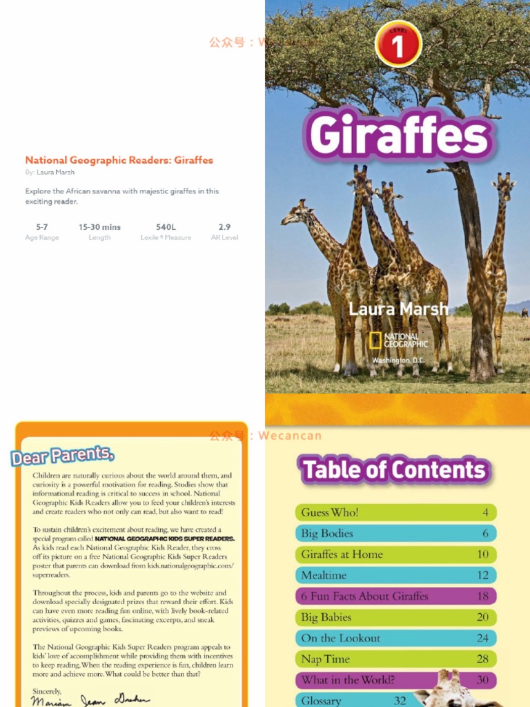 10 Giraffes | PDF
