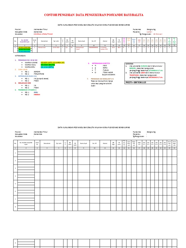 Contoh Pengisian Data Penimbangan Posyandu Bayi 2023 | PDF