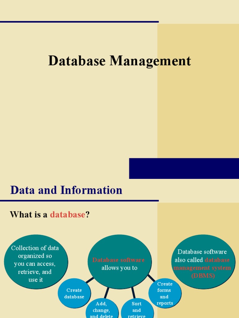 Introduction To Database Management (Tp4) | PDF | Databases | Data
