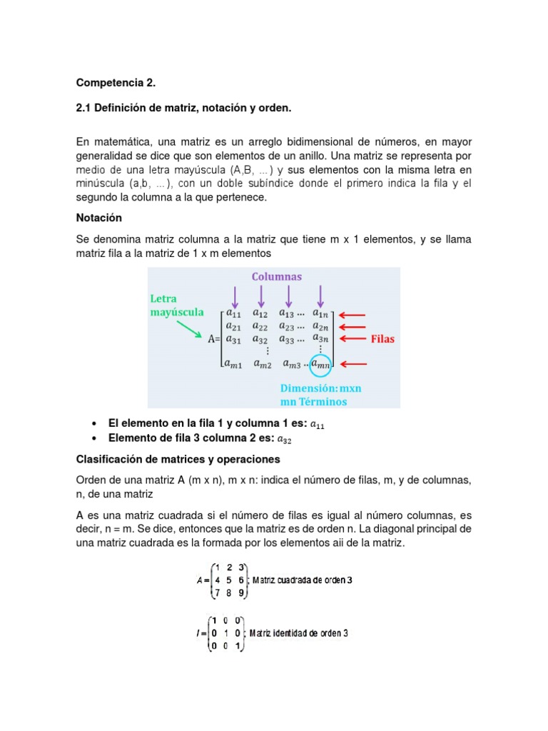 Definición y Notación de Matrices | PDF