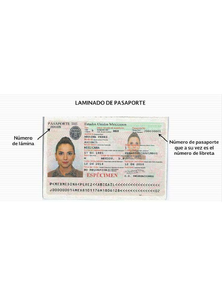 Pasaporte | PDF