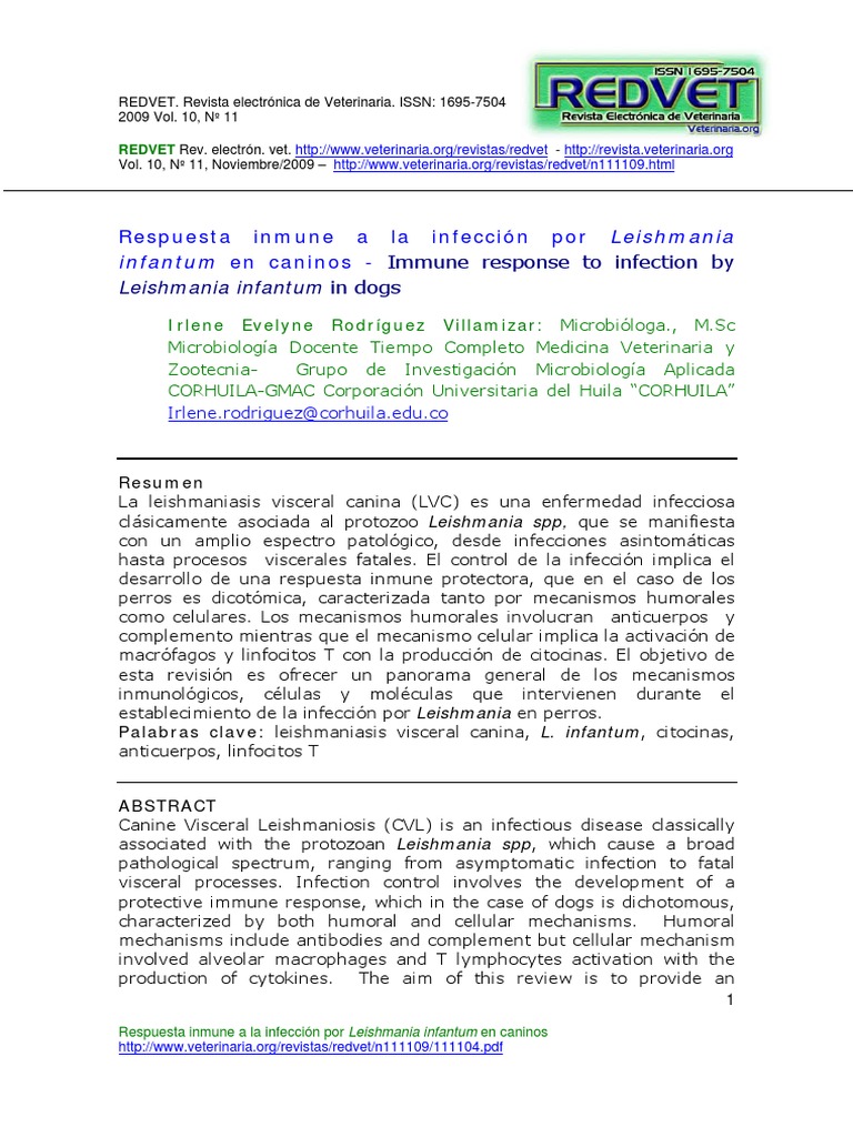 Respuesta Inmune A La Infección Por Leishmania Infantum | PDF | T ...