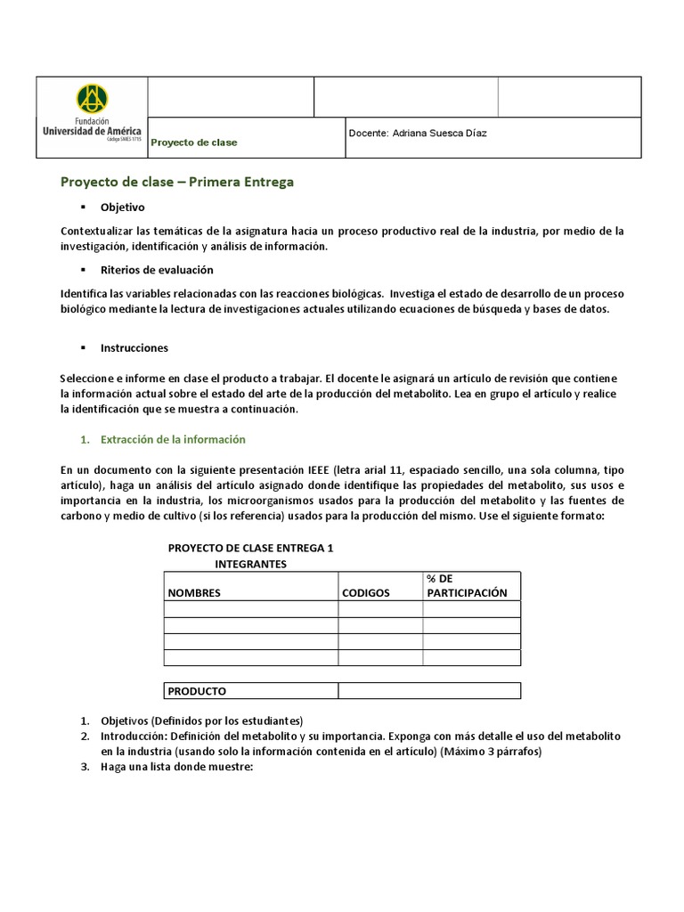 Proyecto de Clase - Primera Entrega 2022 | PDF