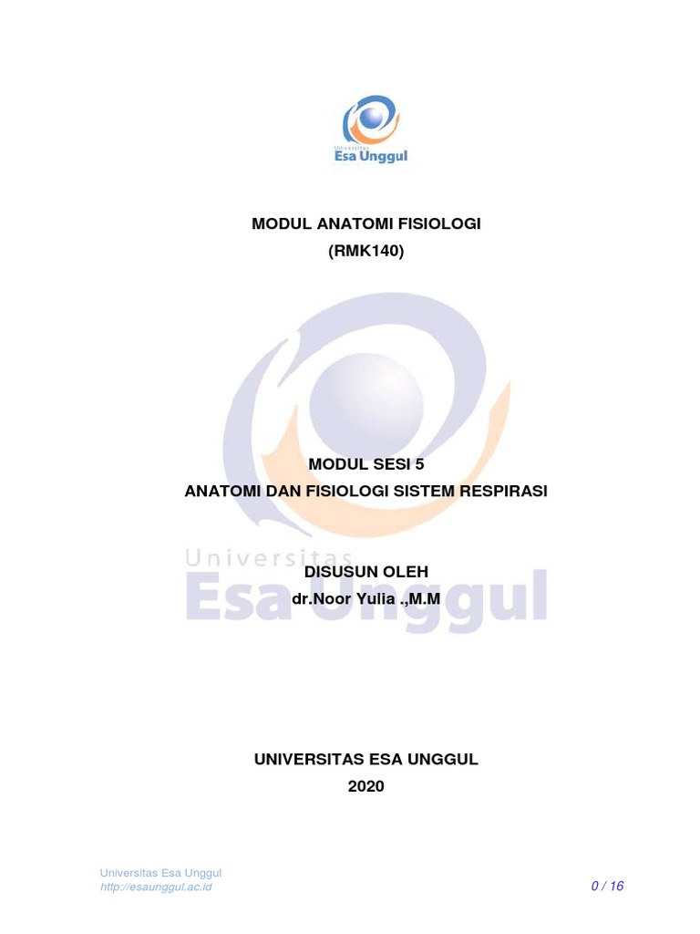 Modul Sesi 5 RMK140 Anatomi Fisiologi. | PDF