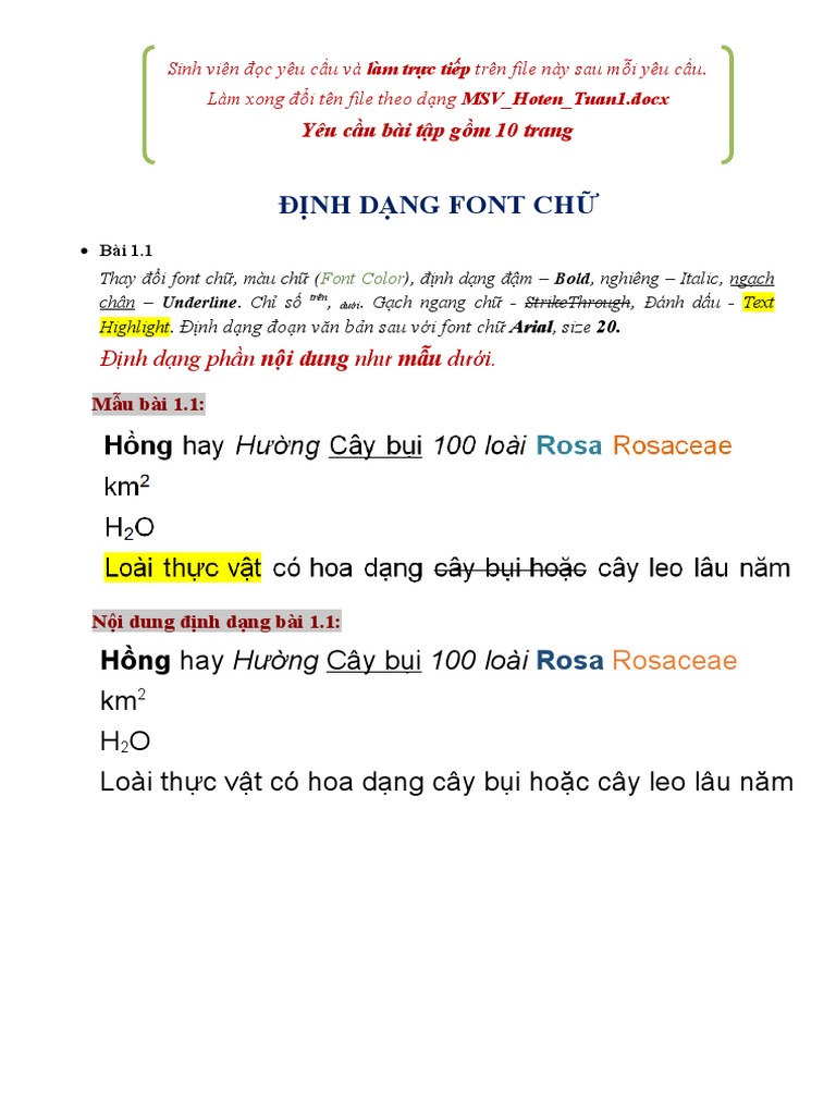 Dinh Dang Font Chu | PDF