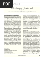 Fisiopatología de La Ciclooxigenasa-1 y Ciclooxigenasa-2 - Revista ...