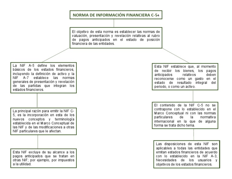 Nif c5 | Descargar gratis PDF | Estado financiero | Economias