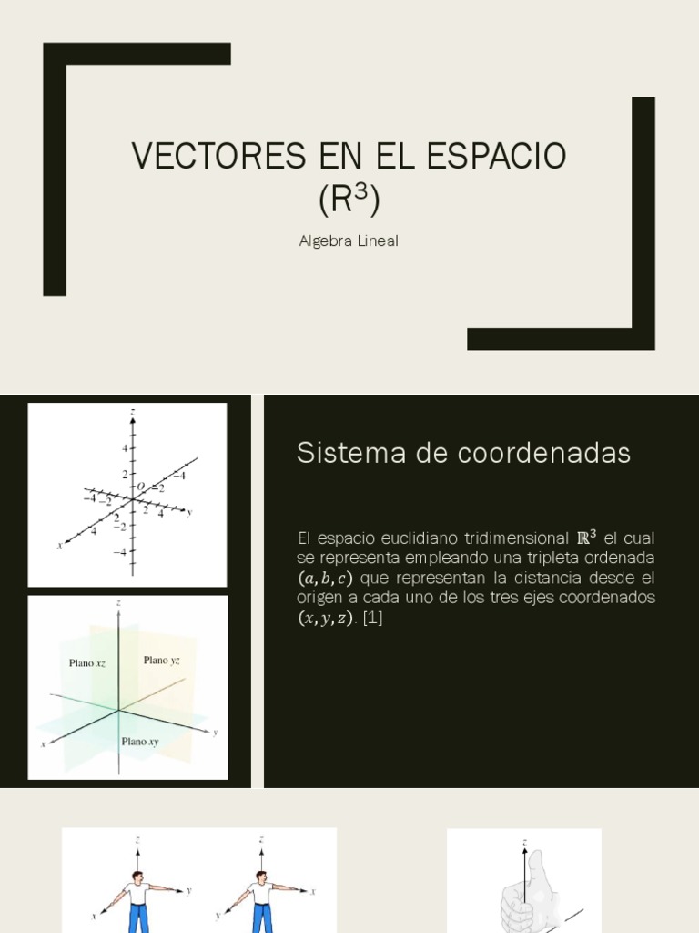 Vectores en El Espacio 1 | Descargar gratis PDF | Vector Euclidiano | Escalar (Matemáticas)