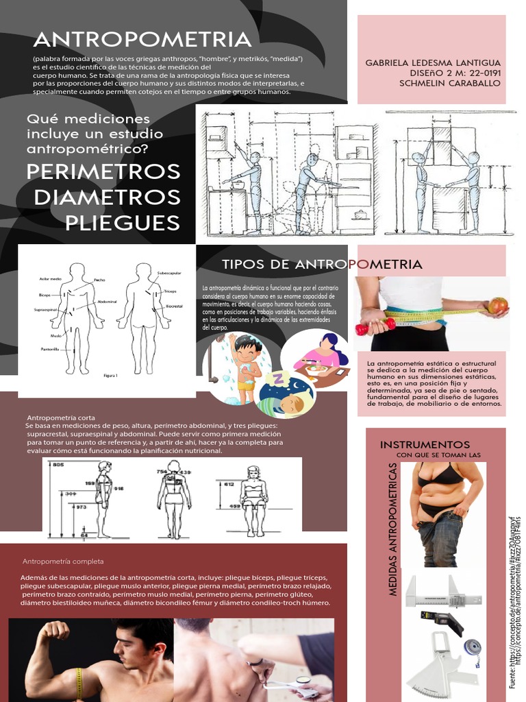 Antropometria | PDF | Antropometría | Anatomía humana
