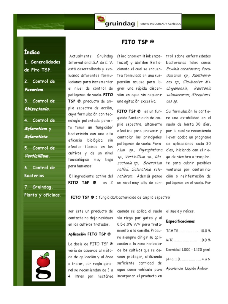 Fito TSP Gruindag | PDF | Plantas | Botánica