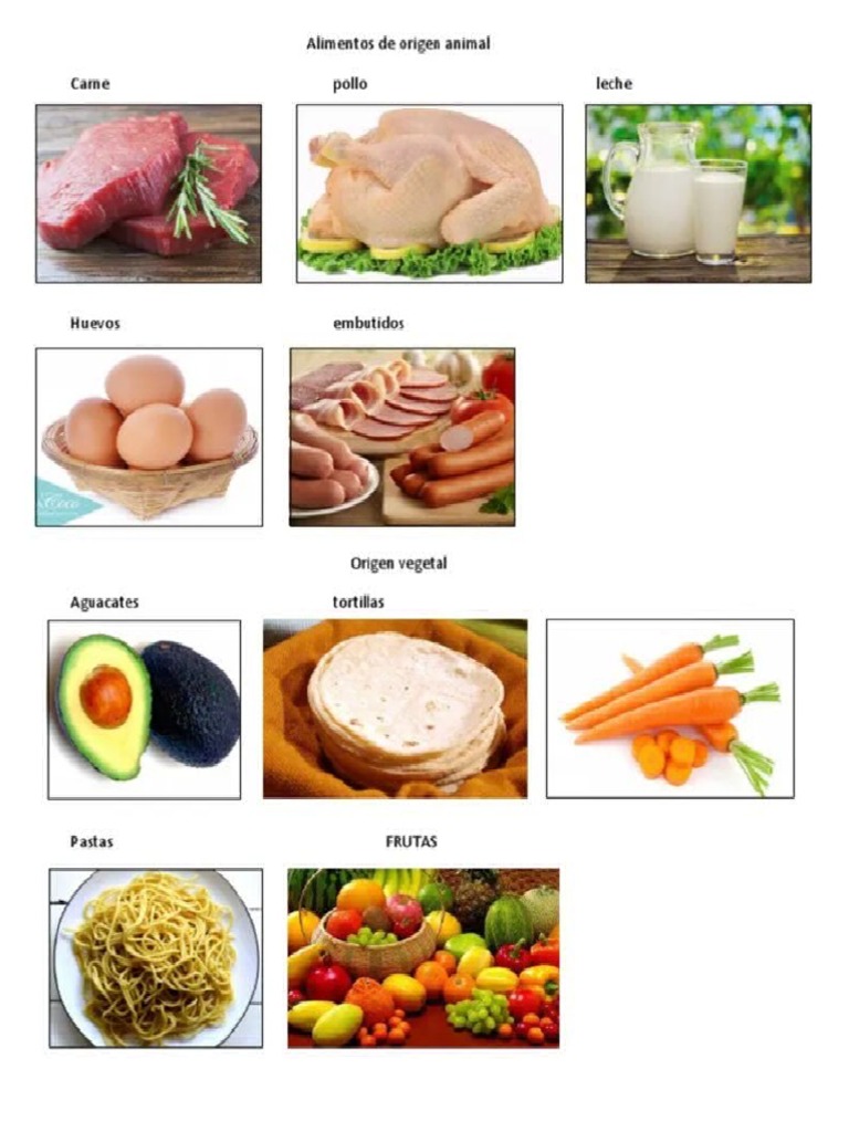 Alimentos de Origen Animal y Vegetal | PDF