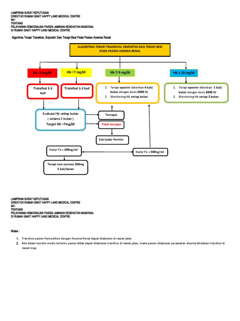 Algoritma Terapi Anemia Renal di RS Happy Land | PDF