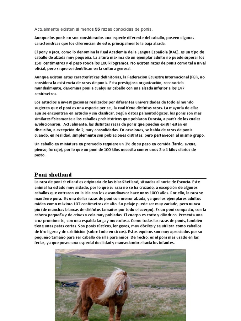 Pony | PDF | Poni | Caballos