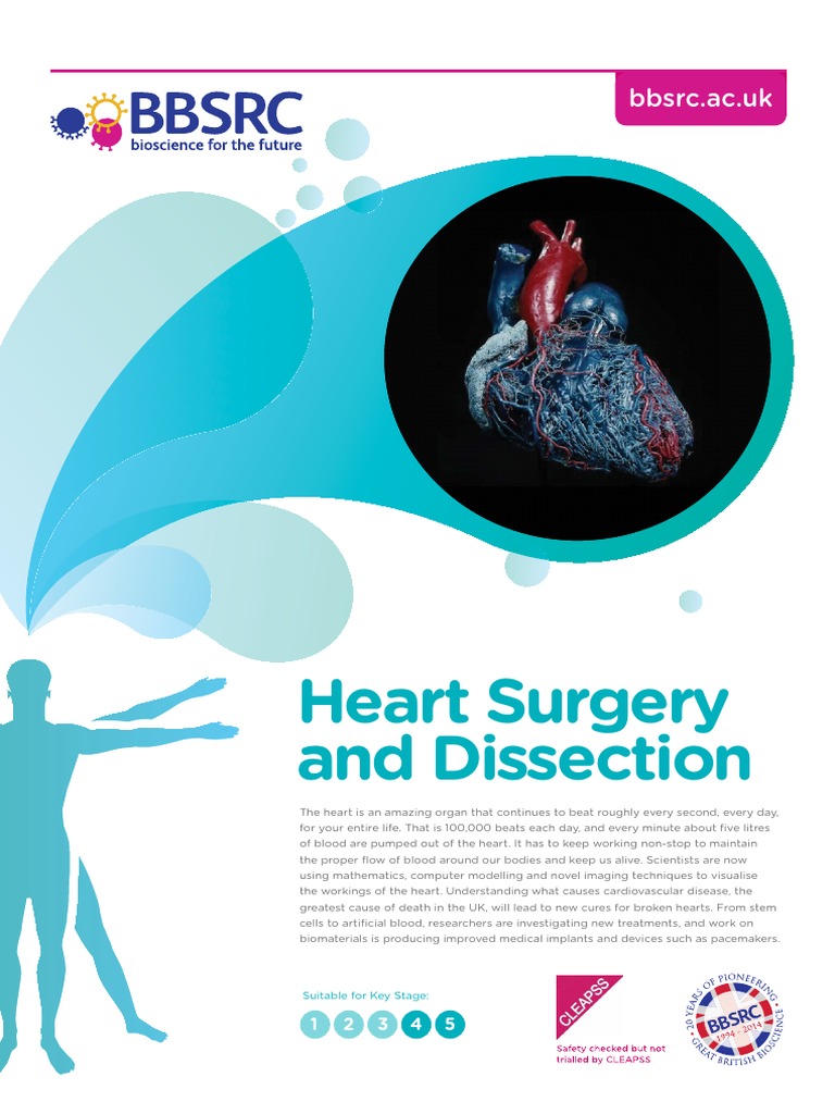 BBSRC 130214 Heart Dissection Teachers Pack and Student Sheets | PDF ...