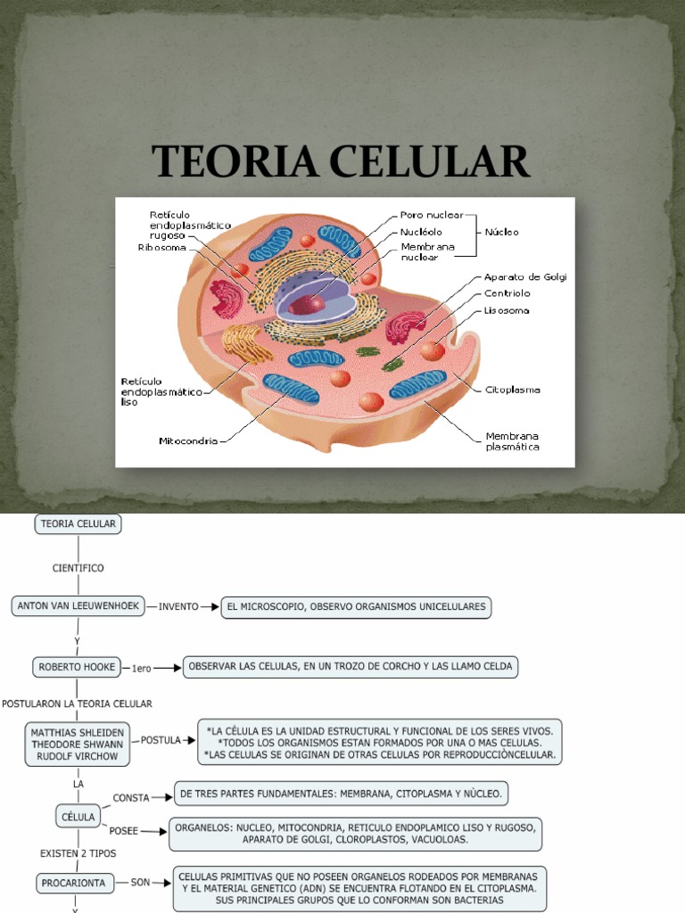 Teoria Celular | PDF