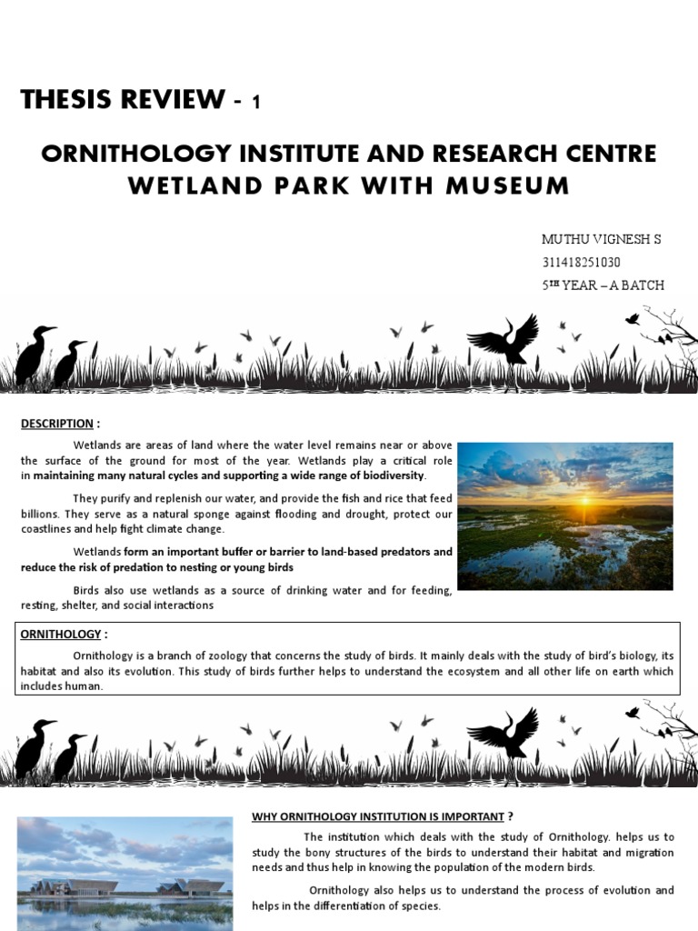 Thesis Review 1 | PDF | Wetland | Ornithology