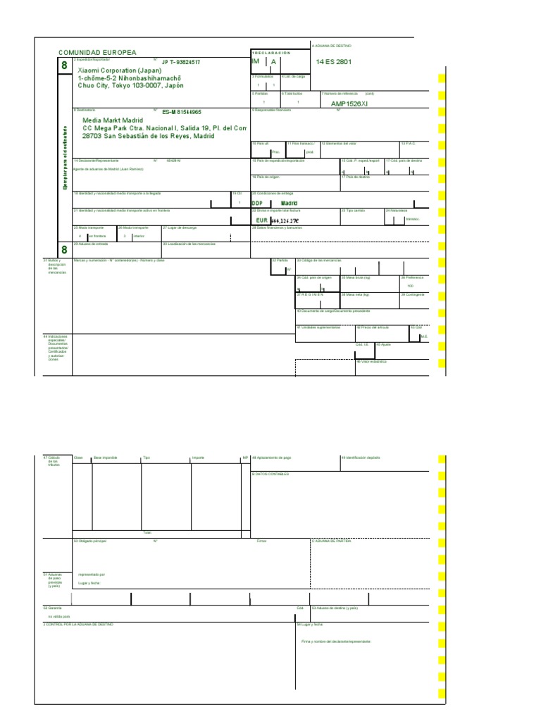 DUA Importación Vacio | PDF