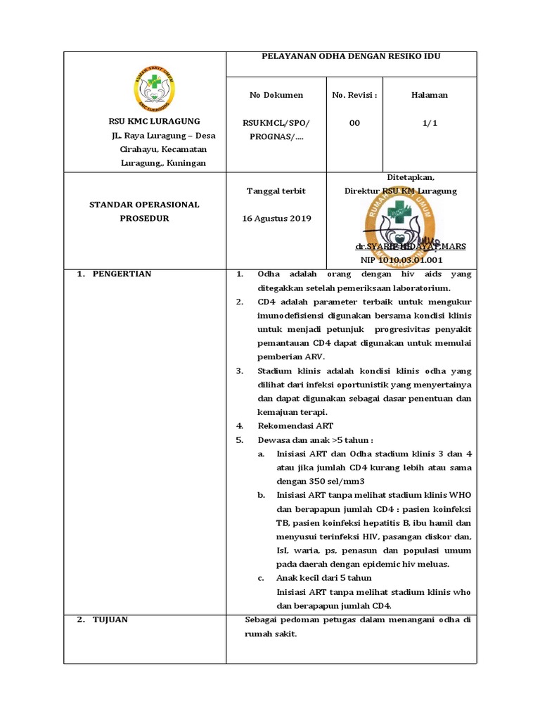 SPO PEL ODHA DG Resiko IDU | PDF