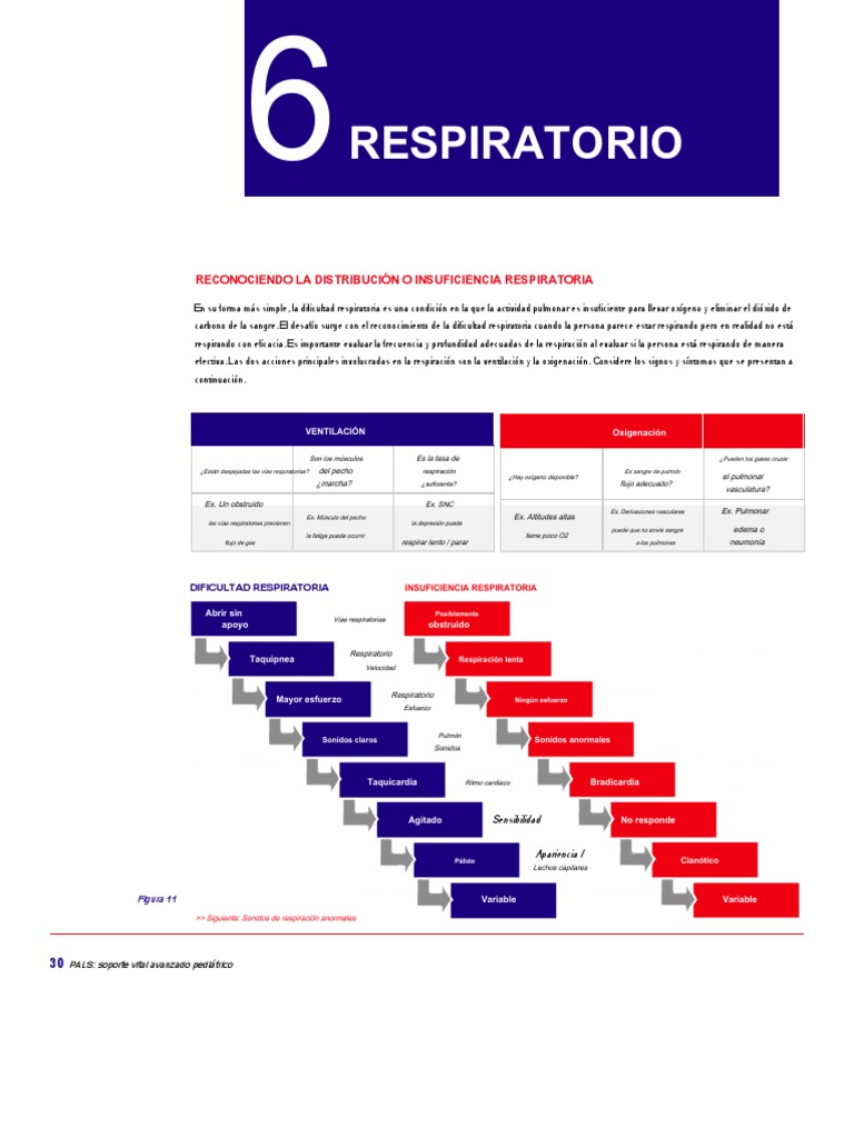 Manejo de Insuficiencia Respiratoria PALS | PDF | Electrocardiografia ...