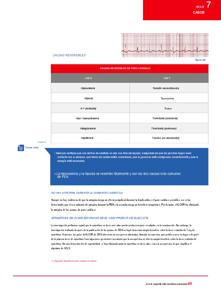 ACLS 2.en - Es | Descargar gratis PDF | Electrocardiografia | Reanimación cardiopulmonar