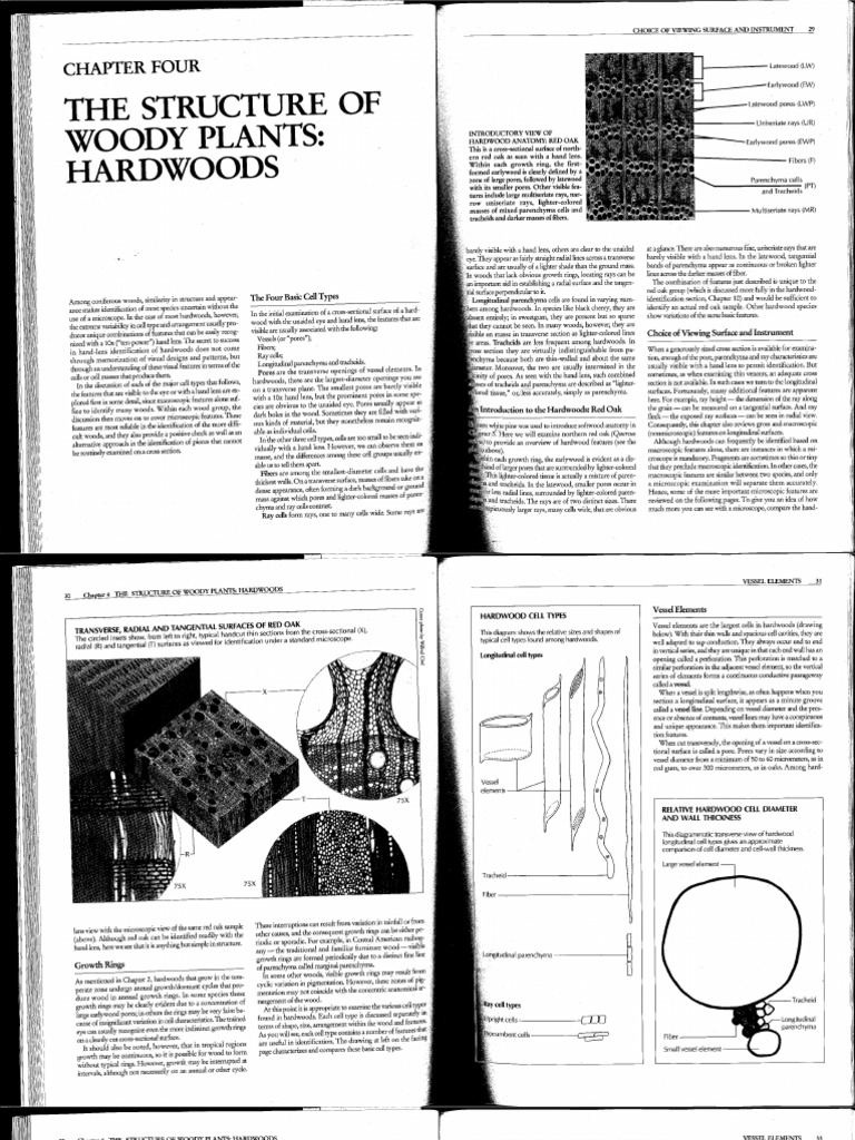 Hoadley 1990 Chp4 | PDF