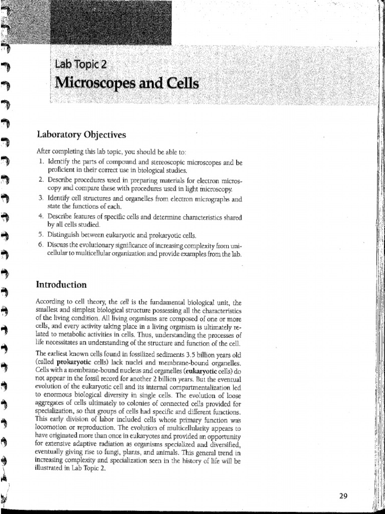 BIO 205 Lab Manual On Microscopes and Cells | PDF