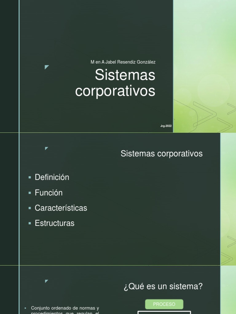 Sistemas Corporativos Pdf Sistema Corporaciones