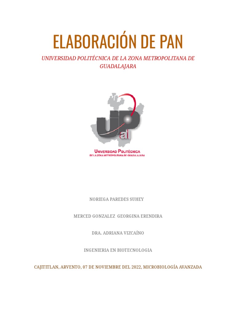 Practica de Elaboracion de Pan | PDF | Panes | Levadura