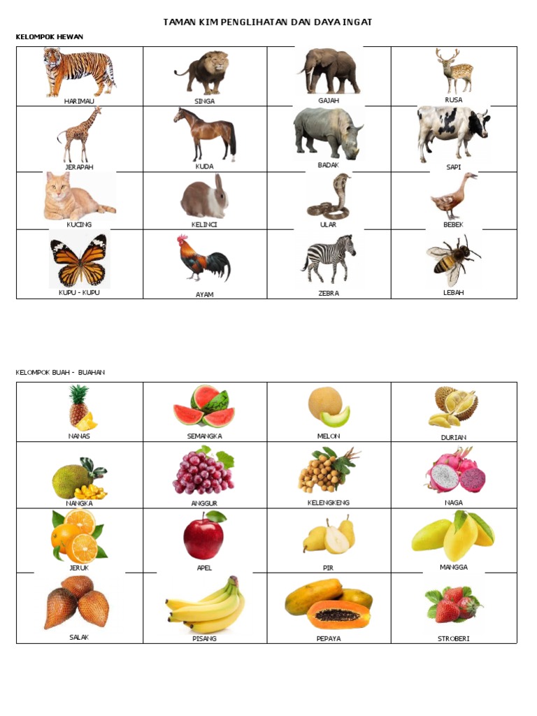Alat Peraga Taman Kim Penglihatan Dan Daya Ingat | PDF