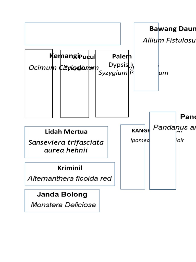 Namna Ilmiah Tumbuhan | PDF