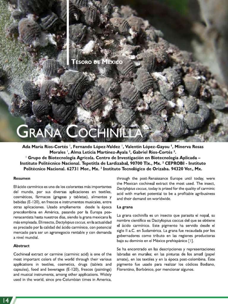 Grana Cochinilla | PDF