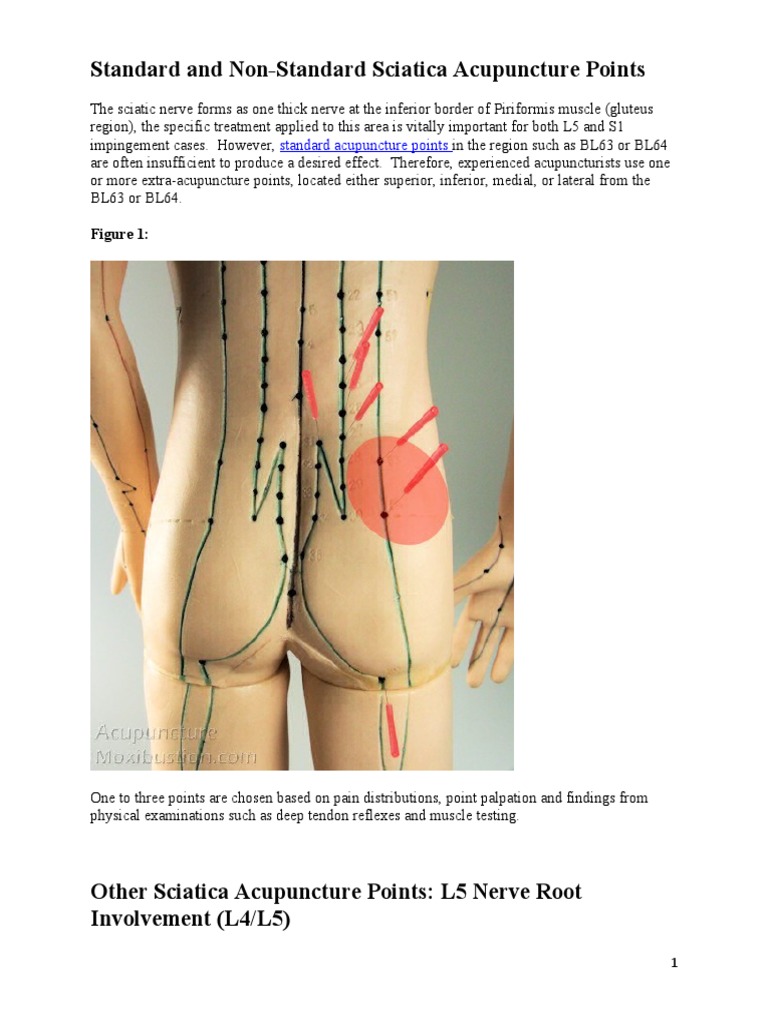 Sciatica Acupuncture Points | PDF | Foot | Anatomical Terms Of Location