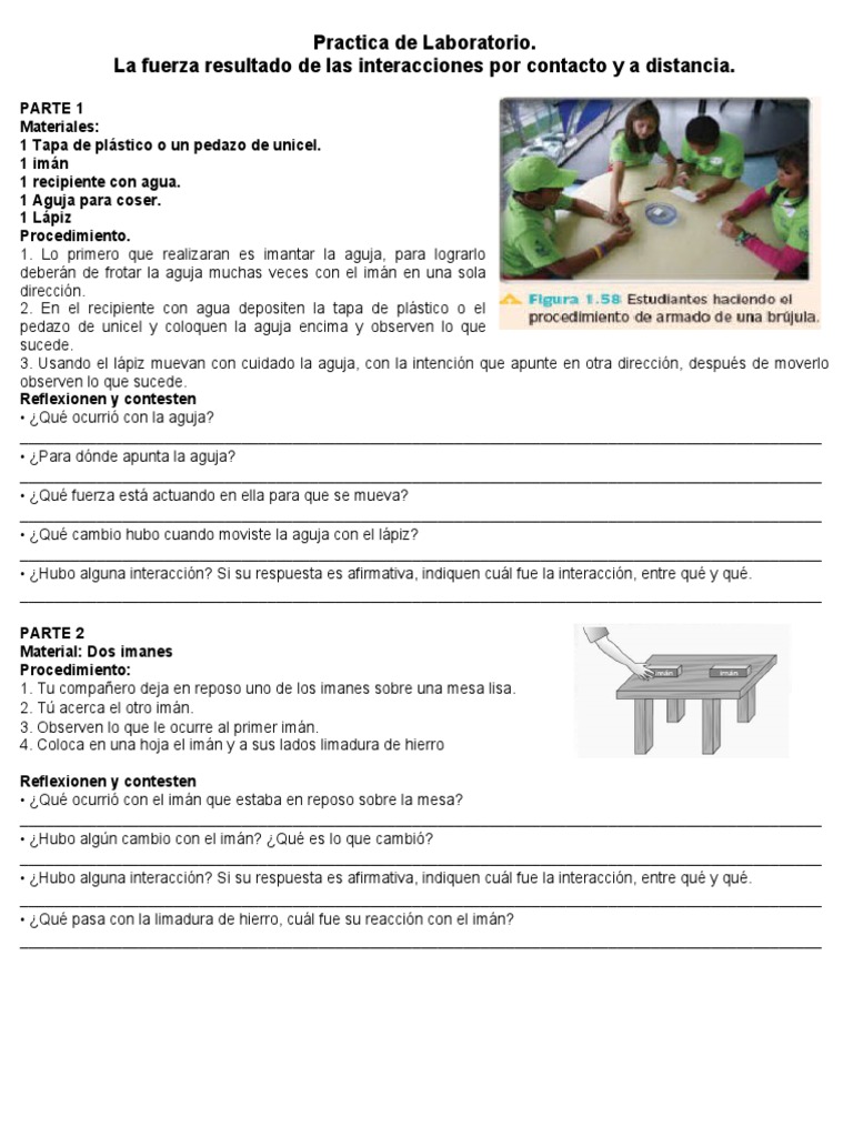 Experimentos de Fuerzas y Movimiento | PDF | Imán | Ciencias fisicas