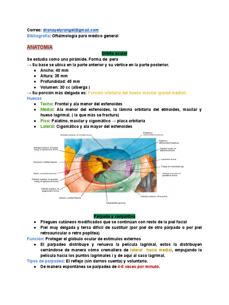Oftalmo | PDF | Ojo humano | Alergia
