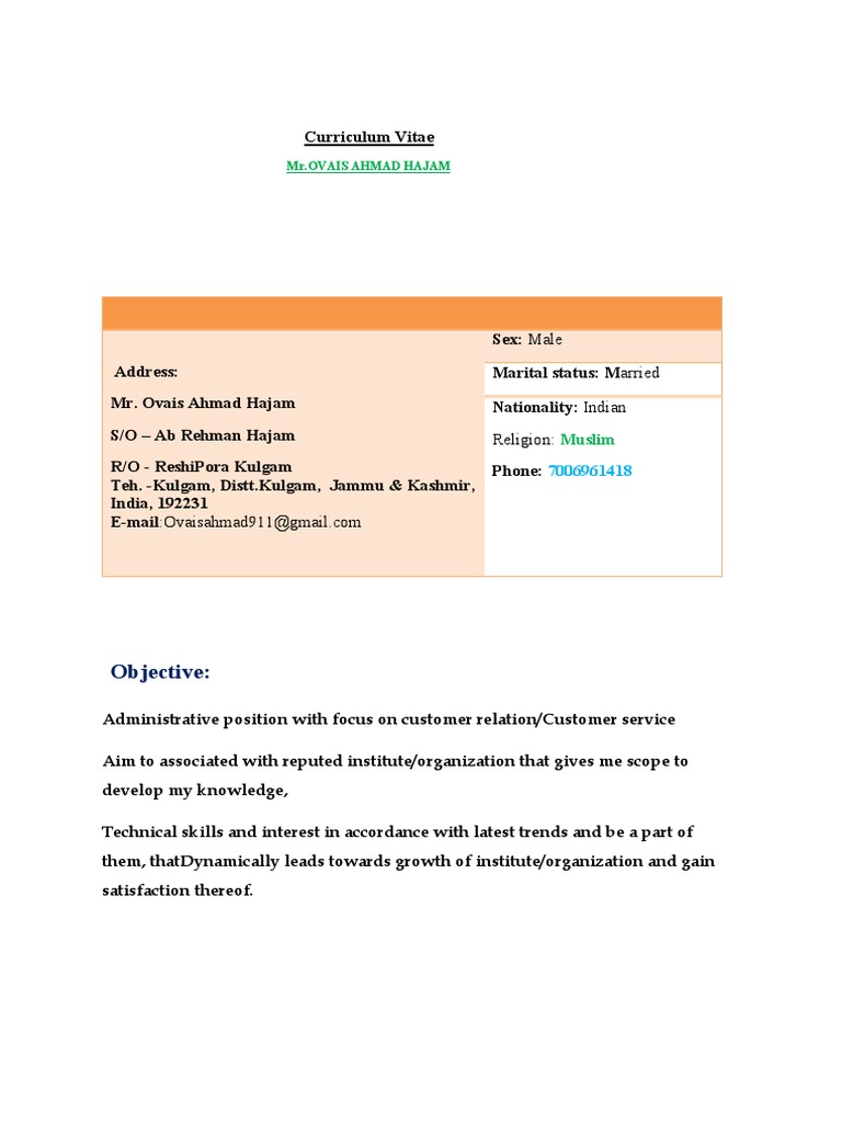 Ovais Resume 2020 | PDF