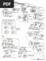 Endocrine System Grade 12 Notes | PDF