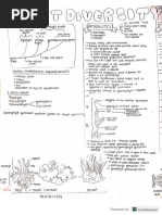 Biodiversity of Animals Grade 11 Notes | PDF