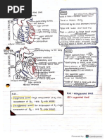 Biodiversity of Animals Grade 11 Notes | PDF