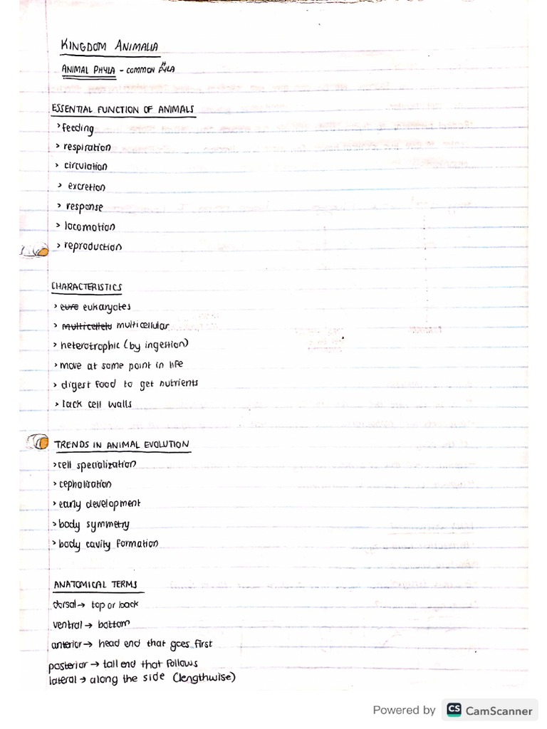 Biodiversity of Animals Grade 11 Notes | PDF
