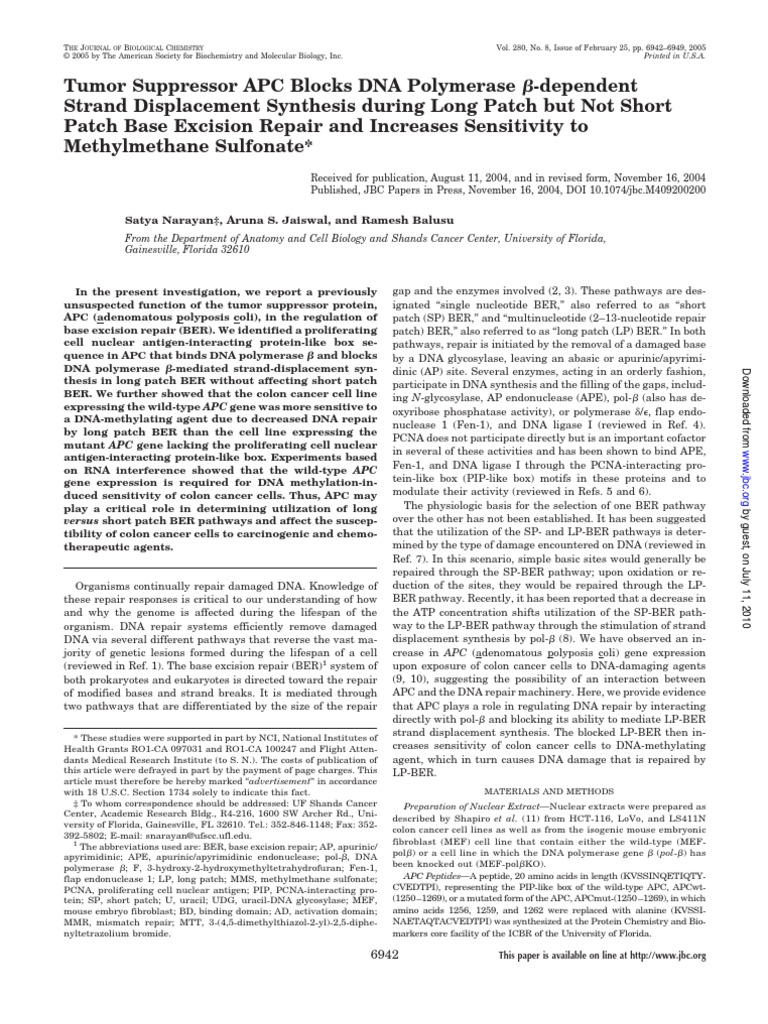 Tumor Suppressor APC Blocks DNA Polymerase - Dependent Strand ...