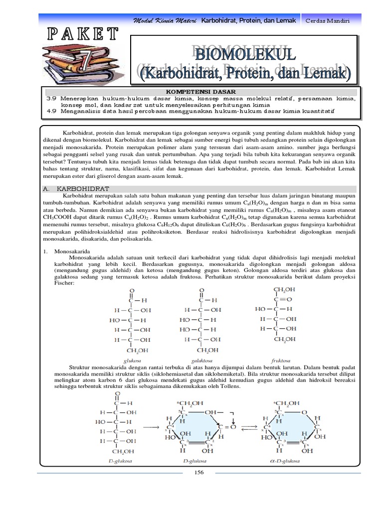 Paket - 7 Biomolekul | PDF | Sains & Matematika
