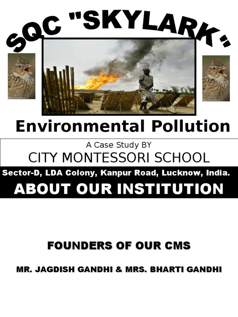 Case Study On Environmental Pollution | PDF | Pollution | Air Pollution
