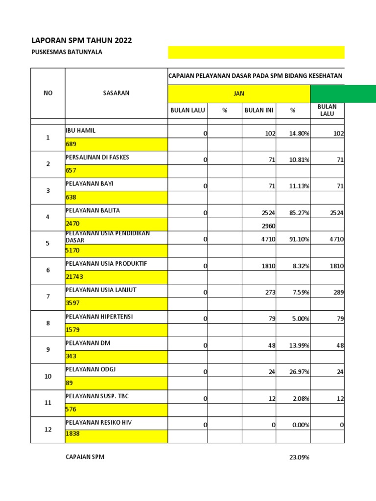 Format Laporan SPM Puskesmas Batunyala | PDF