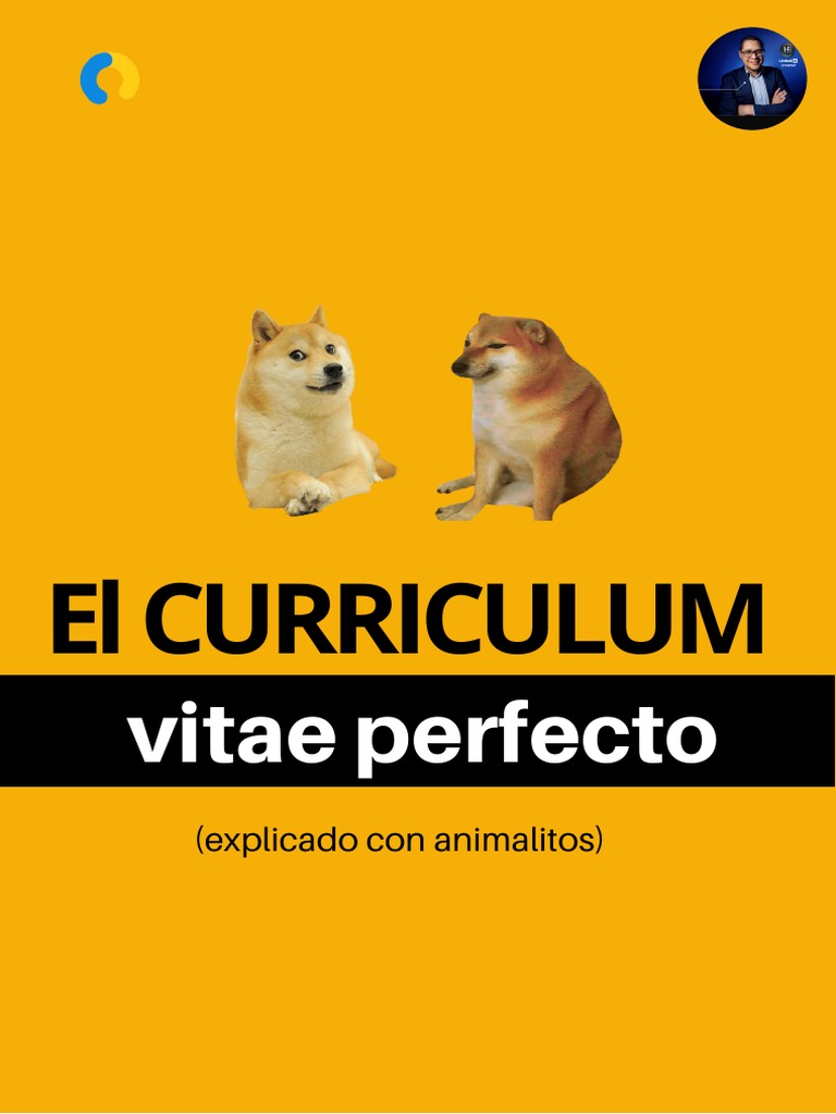 Claves para un CV efectivo y Networking | PDF