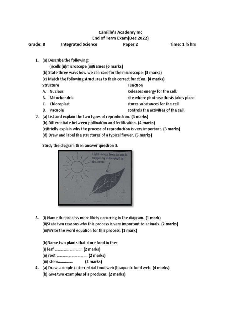 Grade 8 Integrated Science Exam Paper | PDF | Science & Mathematics